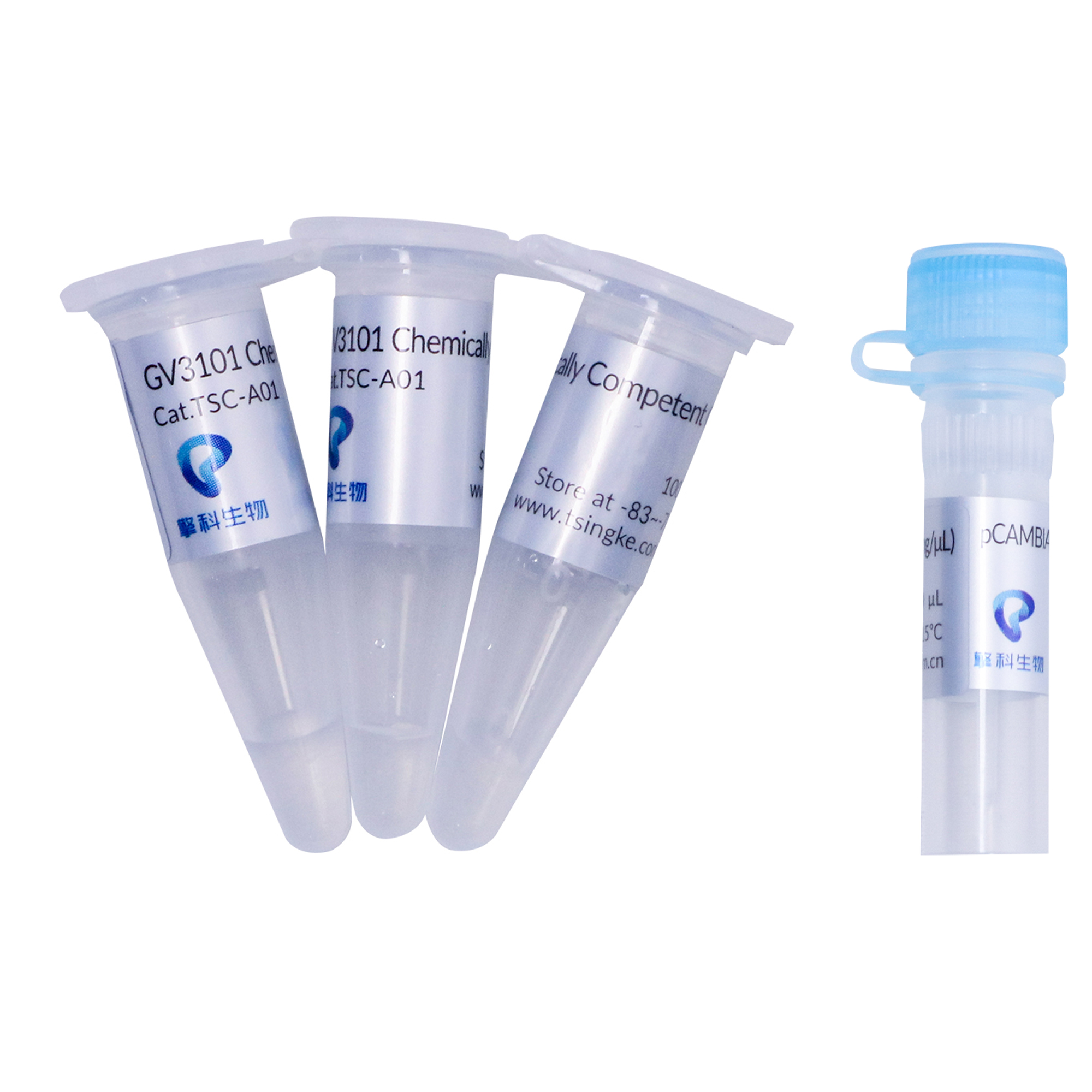 GV3101 Chemically Competent Cell