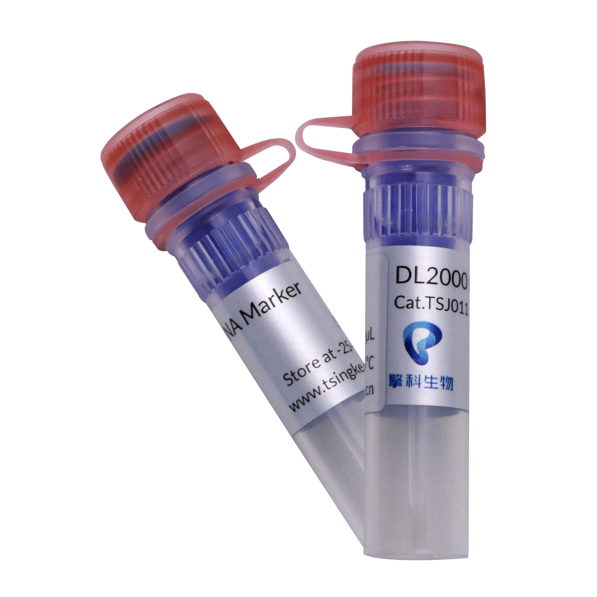 DL2000 DNA Marker
