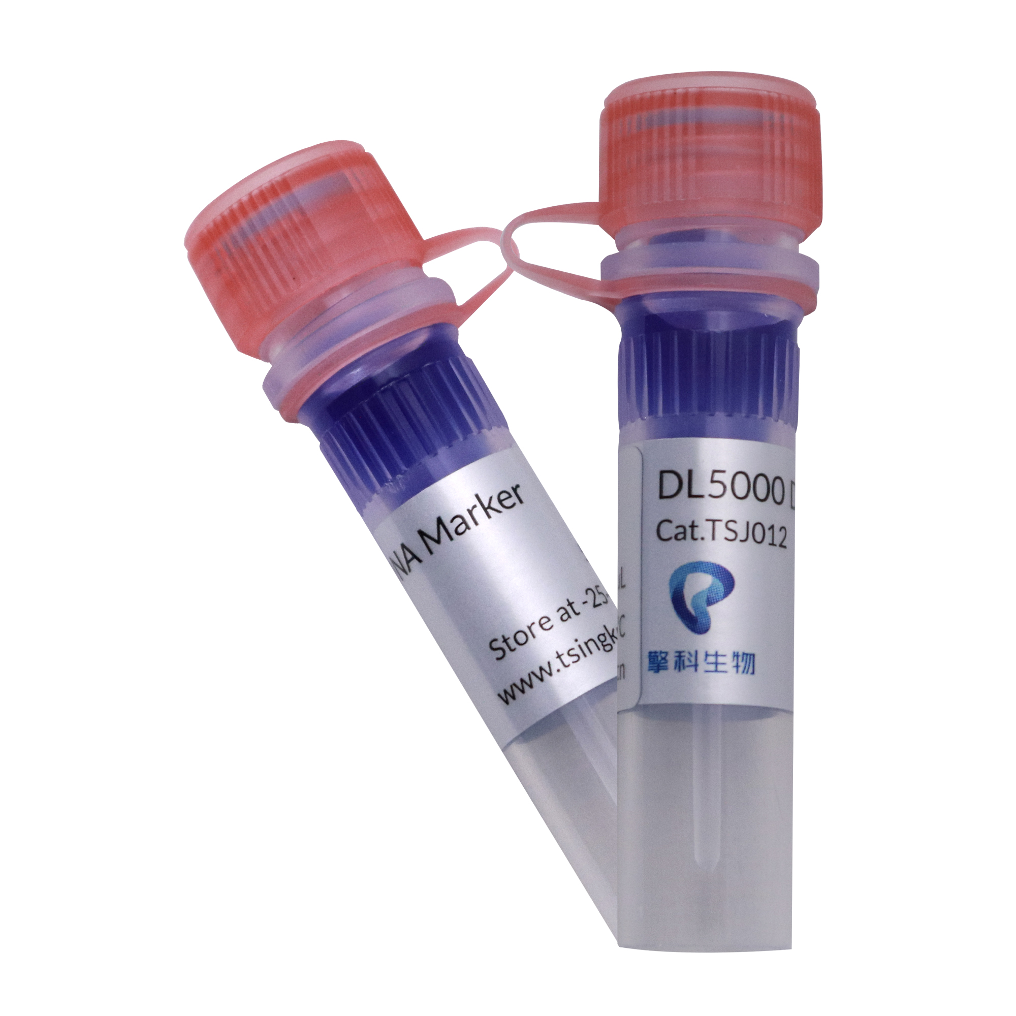 DL5000 DNA Marker