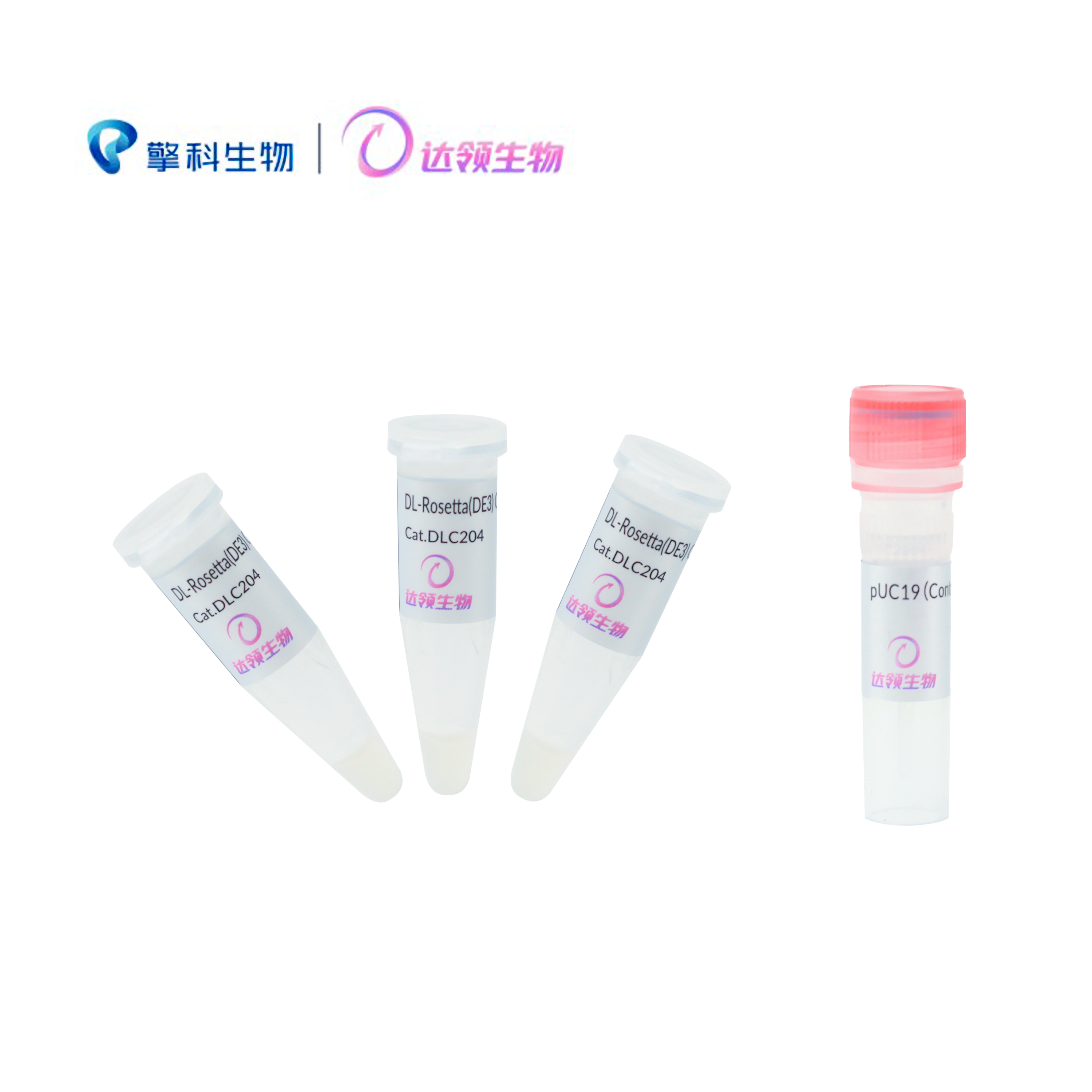 DL-Rosetta(DE3)感受态细胞